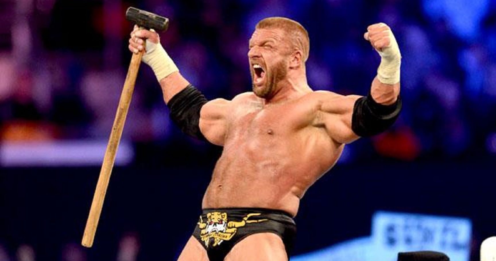 Top 15 Wrestler/Weapon Relationships | TheSportster