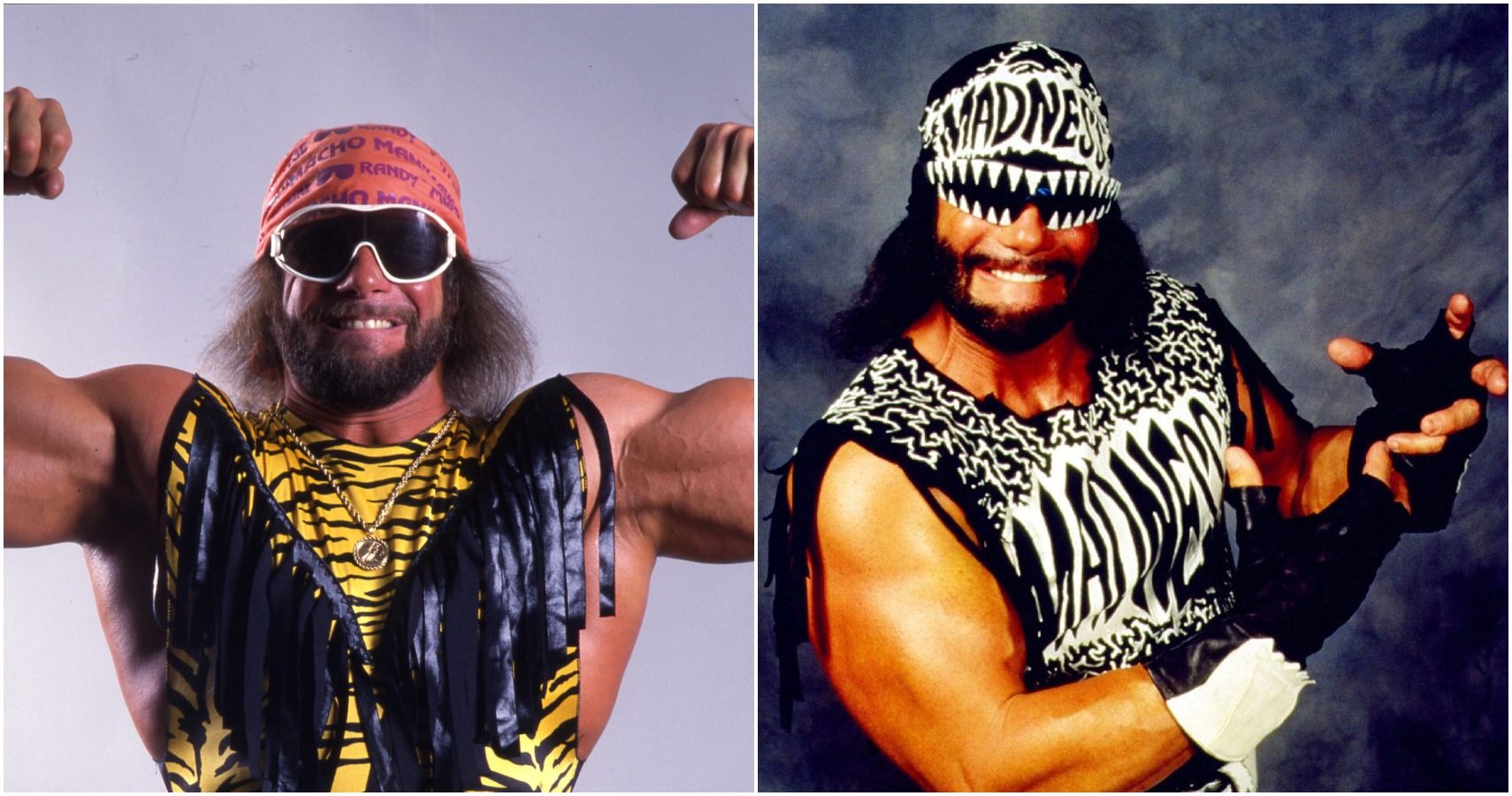 5 Best Randy Savage Rivalries In WWE (& 5 In WCW) | TheSportster