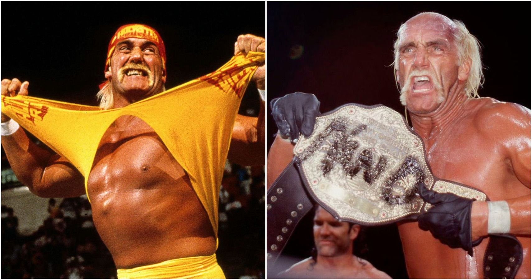 5 Best Hulk Hogan Rivalries In WWE (& 5 In WCW) | TheSportster